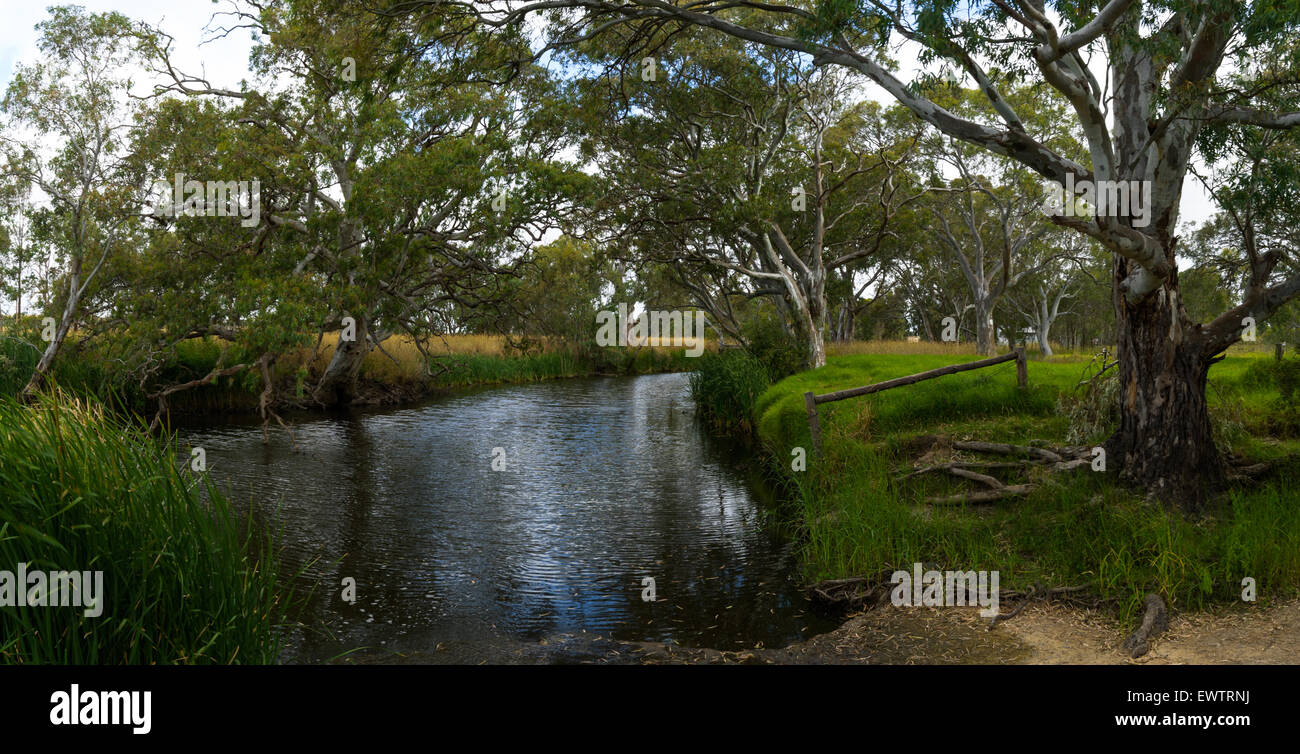 Beautiful green nature landscapes in hi-res stock photography and ...