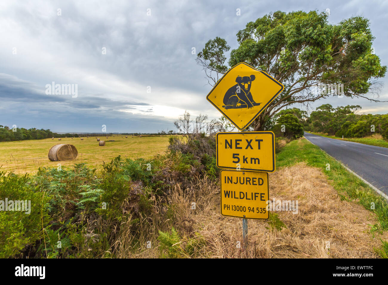 Koala road sign Stock Photo - Alamy