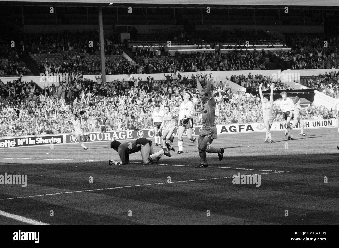 Luton Town 1-4 Reading, 1988 Simod Cup Final, Wembley Stadium, London ...