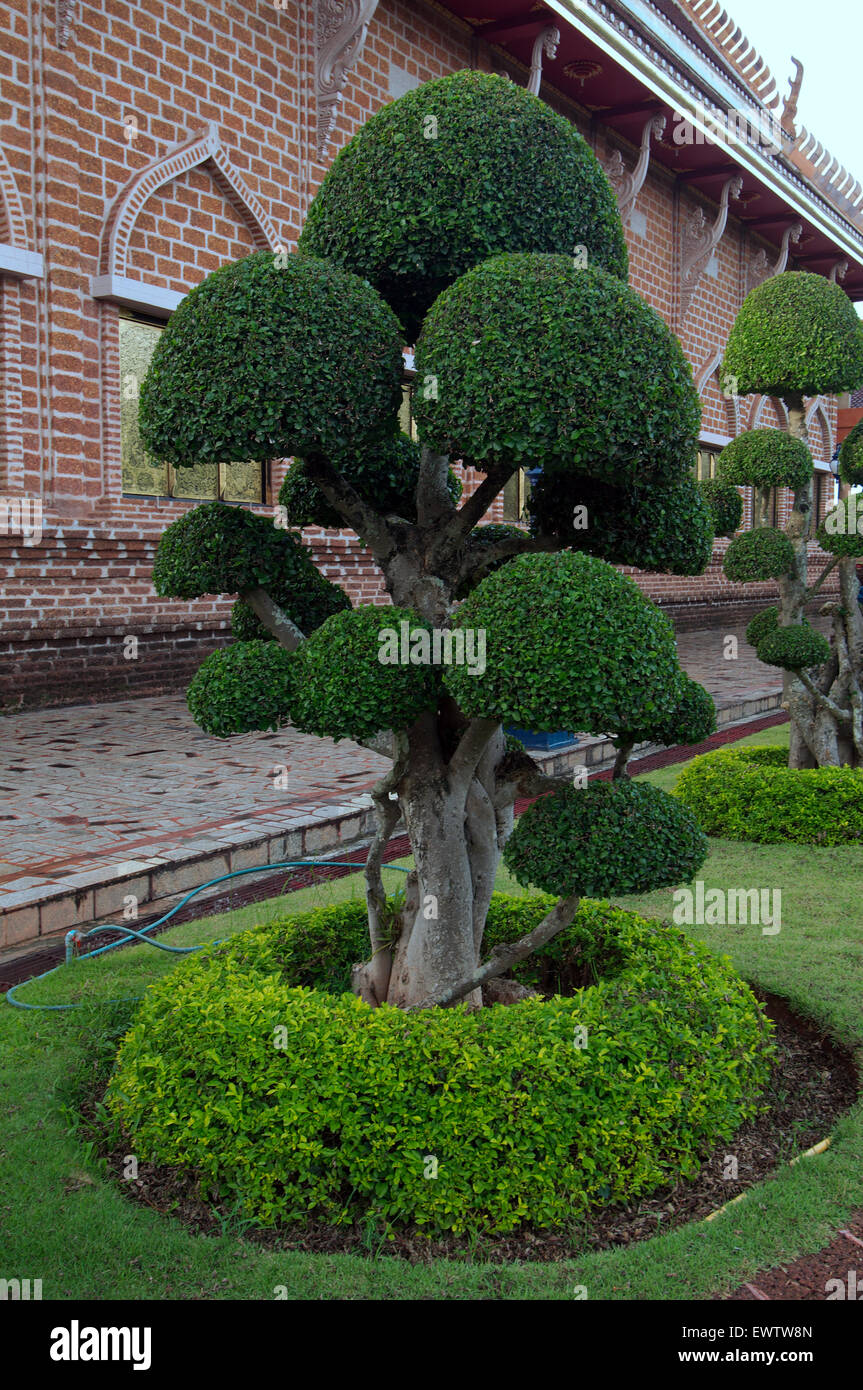 Well of tree hi-res stock photography and images - Alamy
