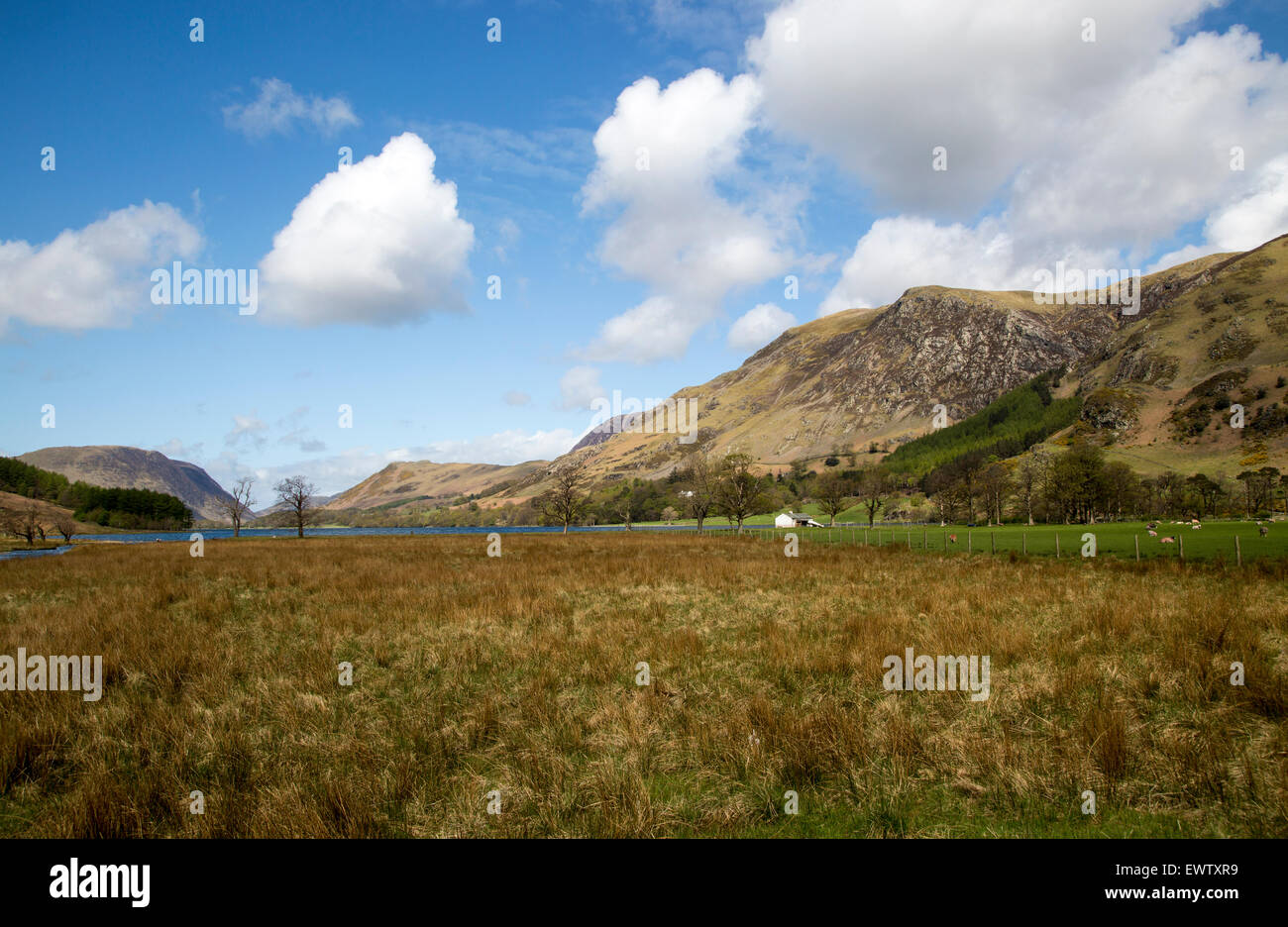 Fields at Lake Buttermere, Gatesgarth, Lake District national park ...