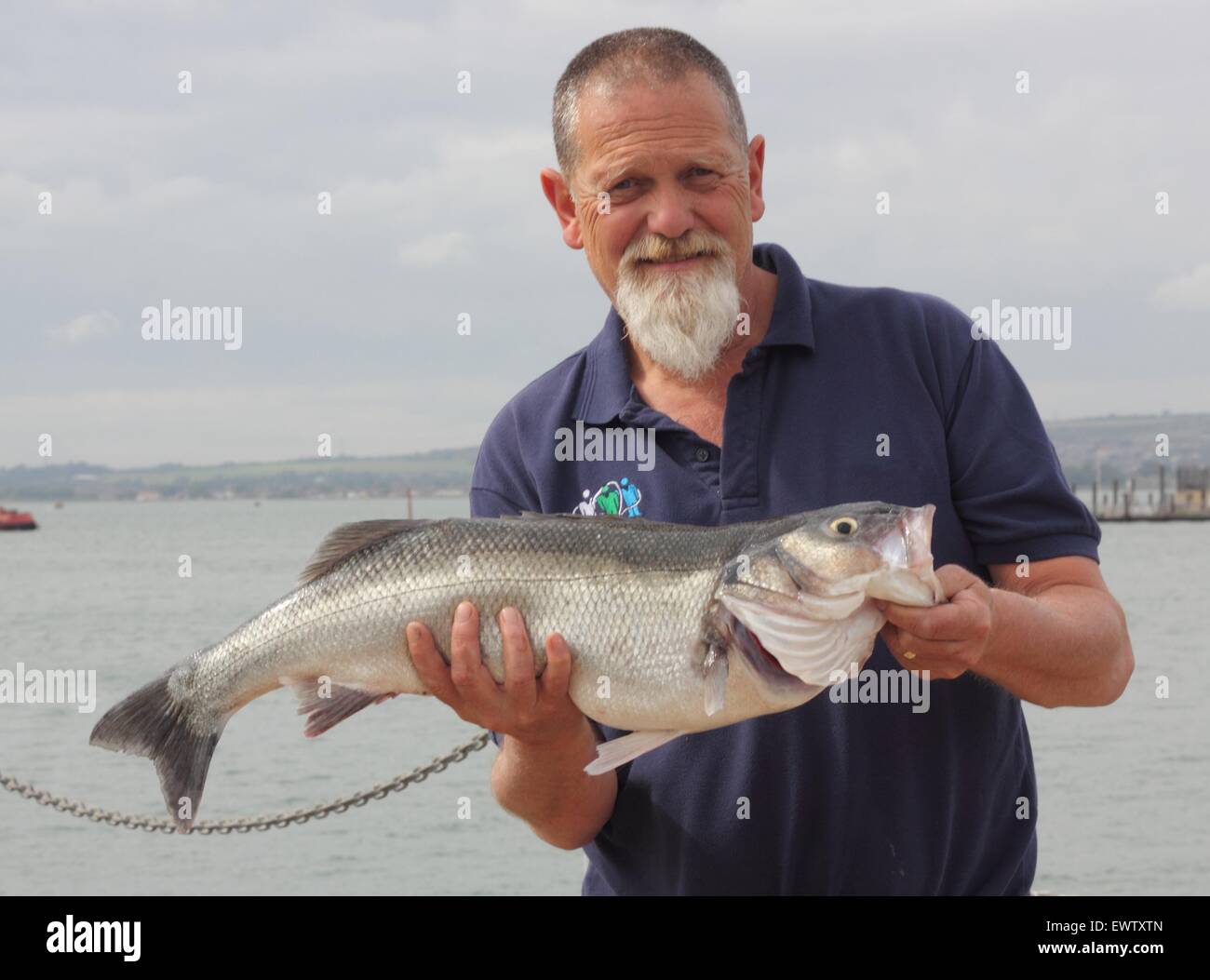 Male specimen hi-res stock photography and images - Alamy