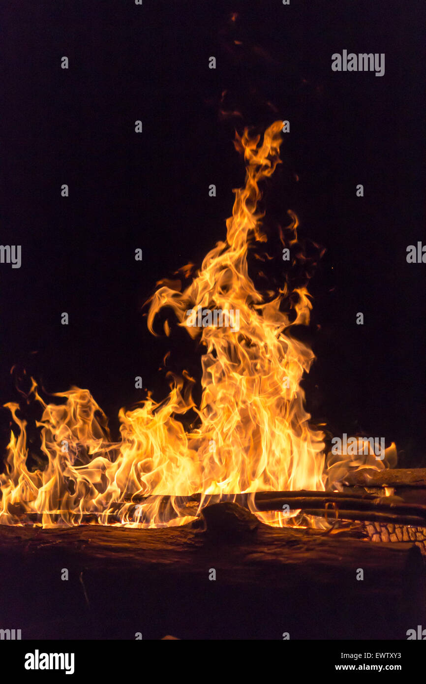 Bright golden color flames from a campfire at night Stock Photo - Alamy