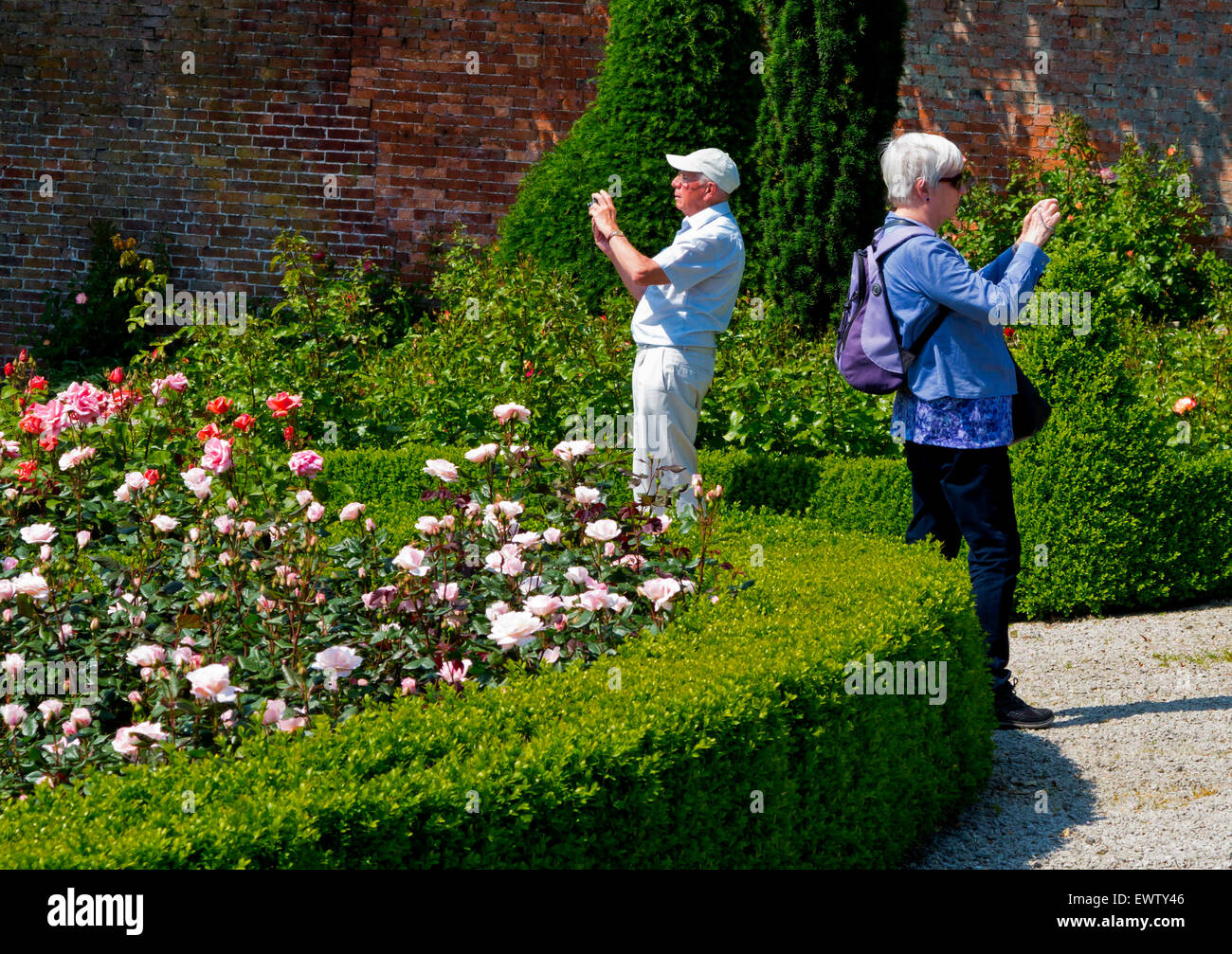 Visitors enjoying the rose garden in summer at Hopton Hall in the ...