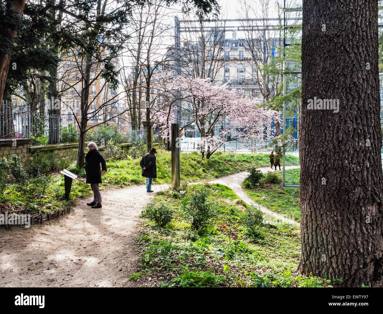 Fondation Cartier pour l’art contemporain, Foundation Cartier ...