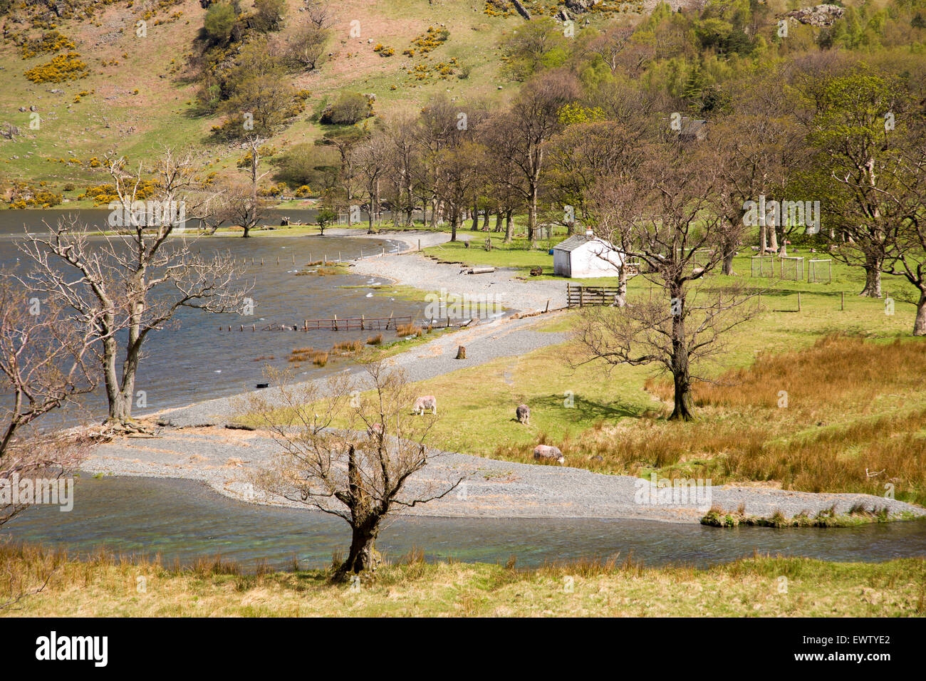 Warnscale beck stream flowing into lake buttermere hi-res stock ...