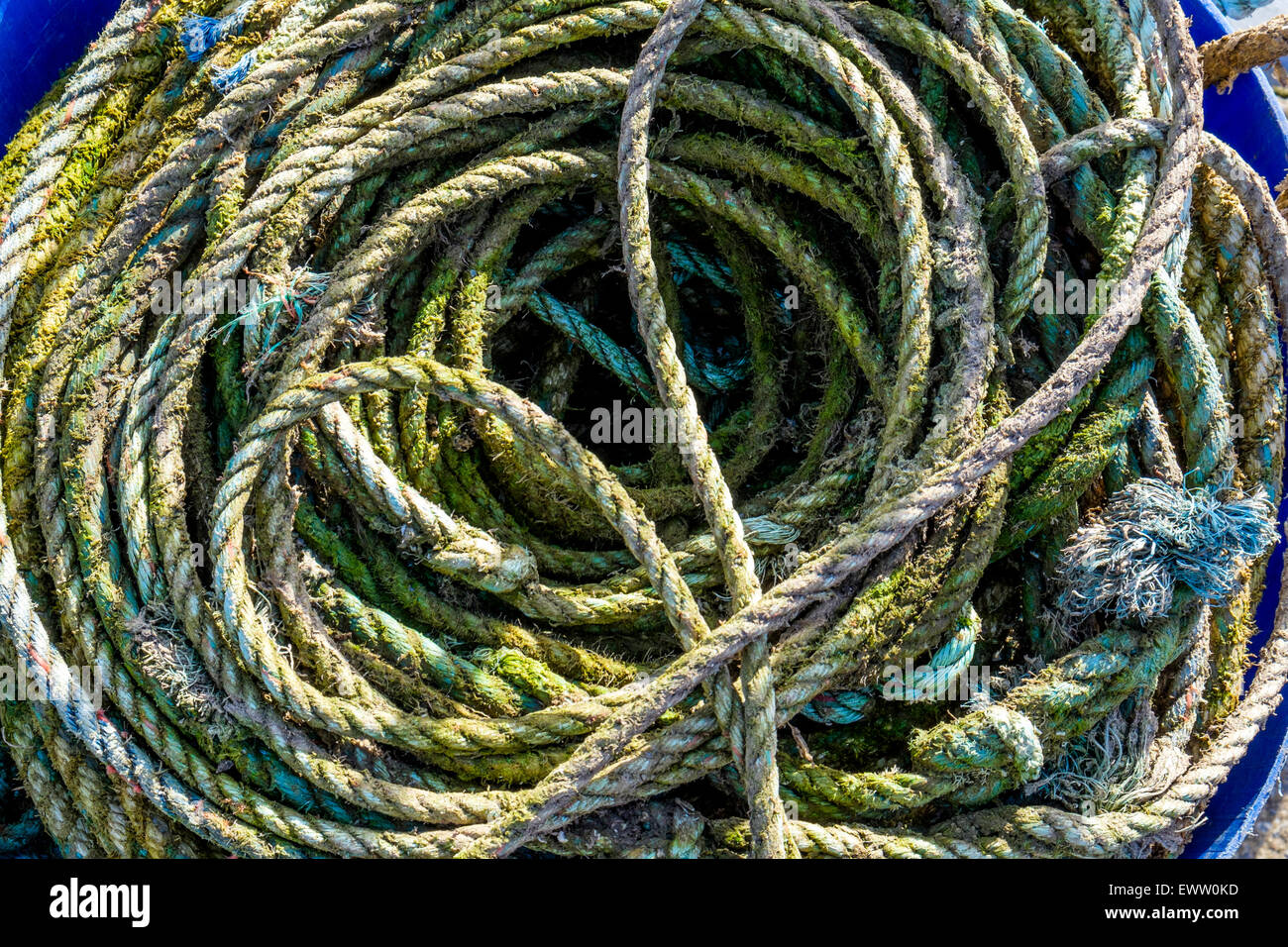 Coil of fisher mens' rope on quay in harbour Stock Photo - Alamy