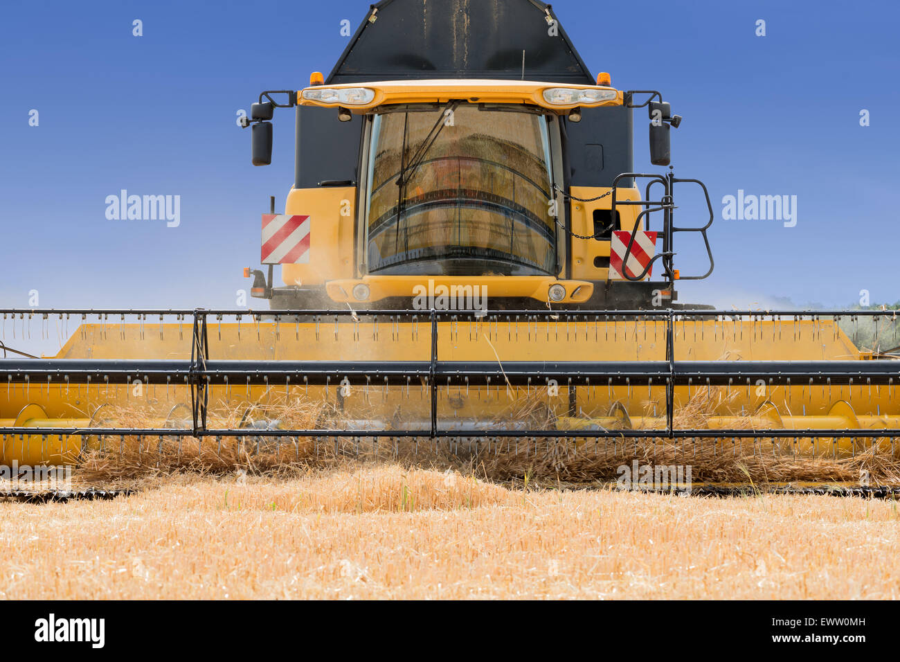 close front view of modern combine harvester in action Stock Photo - Alamy