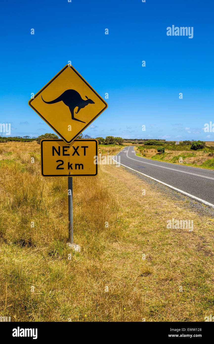 Warning sign for kangaroo crossing on Austalian country road Stock ...