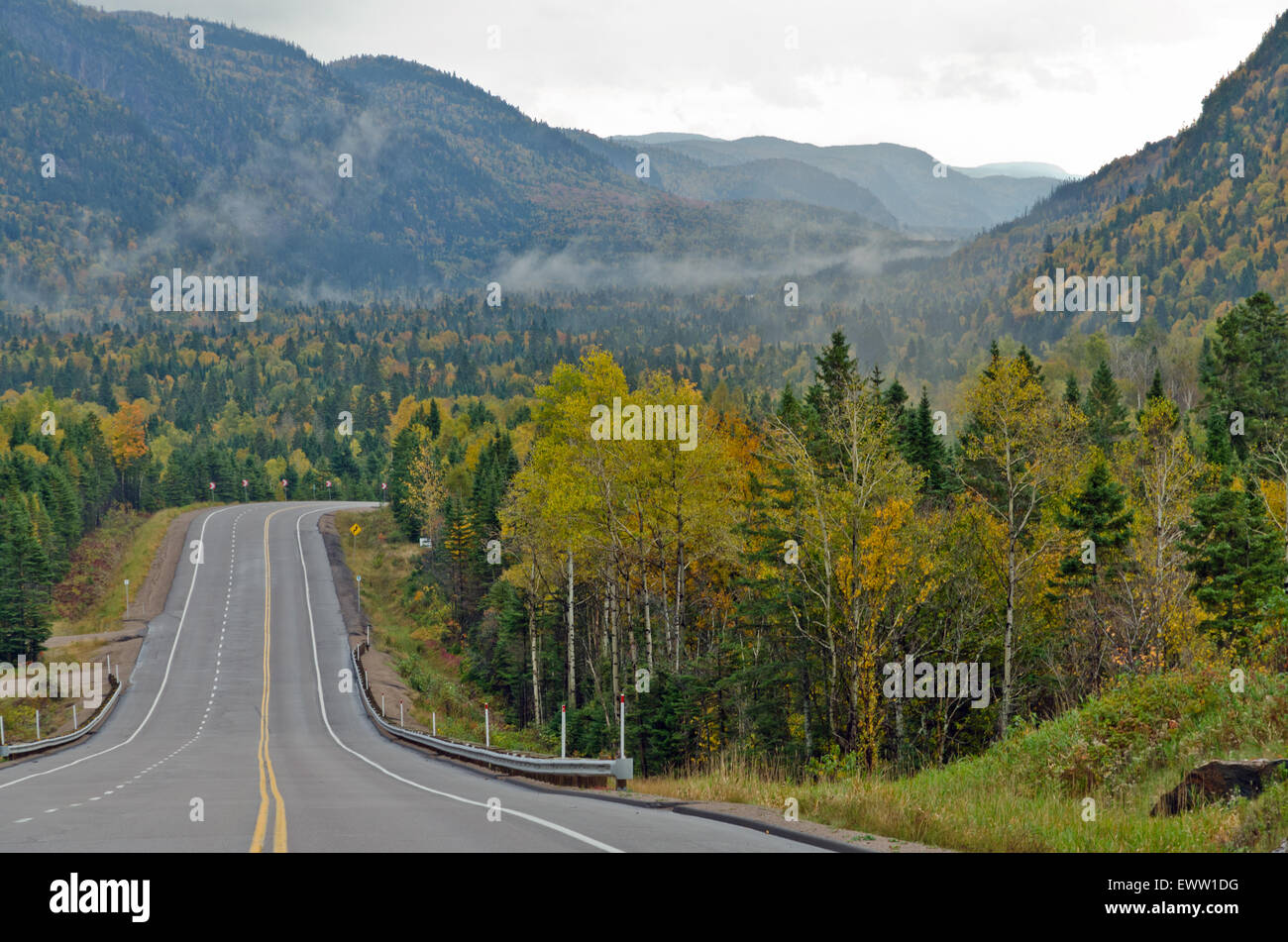 Quebec forest hi-res stock photography and images - Alamy