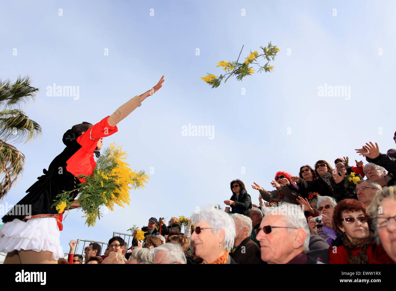 Bataille des fleurs hi-res stock photography and images - Alamy