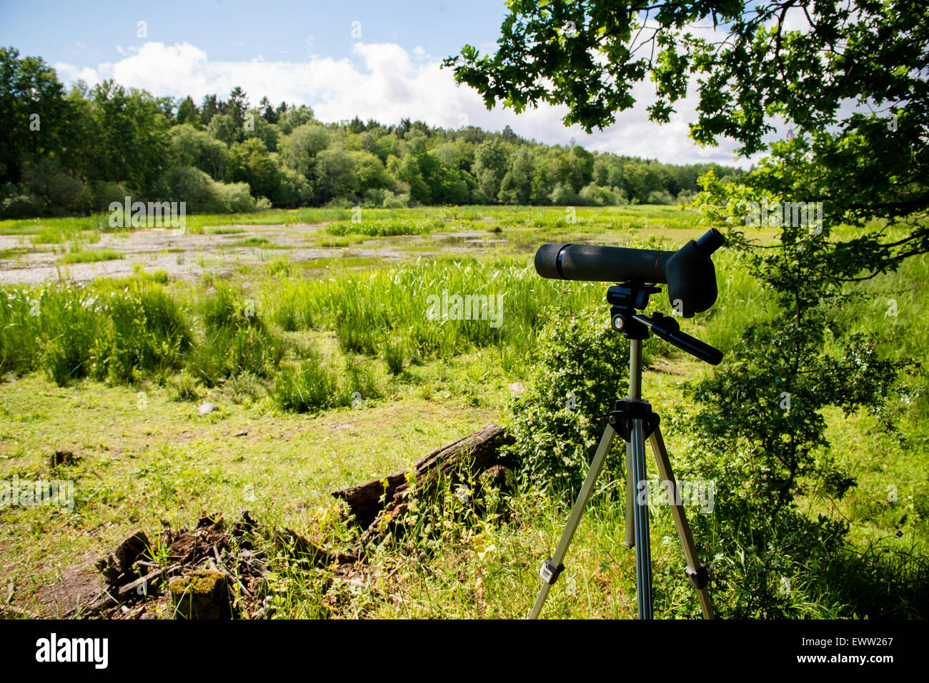 Birdwatching in the wilderness Stock Photo - Alamy