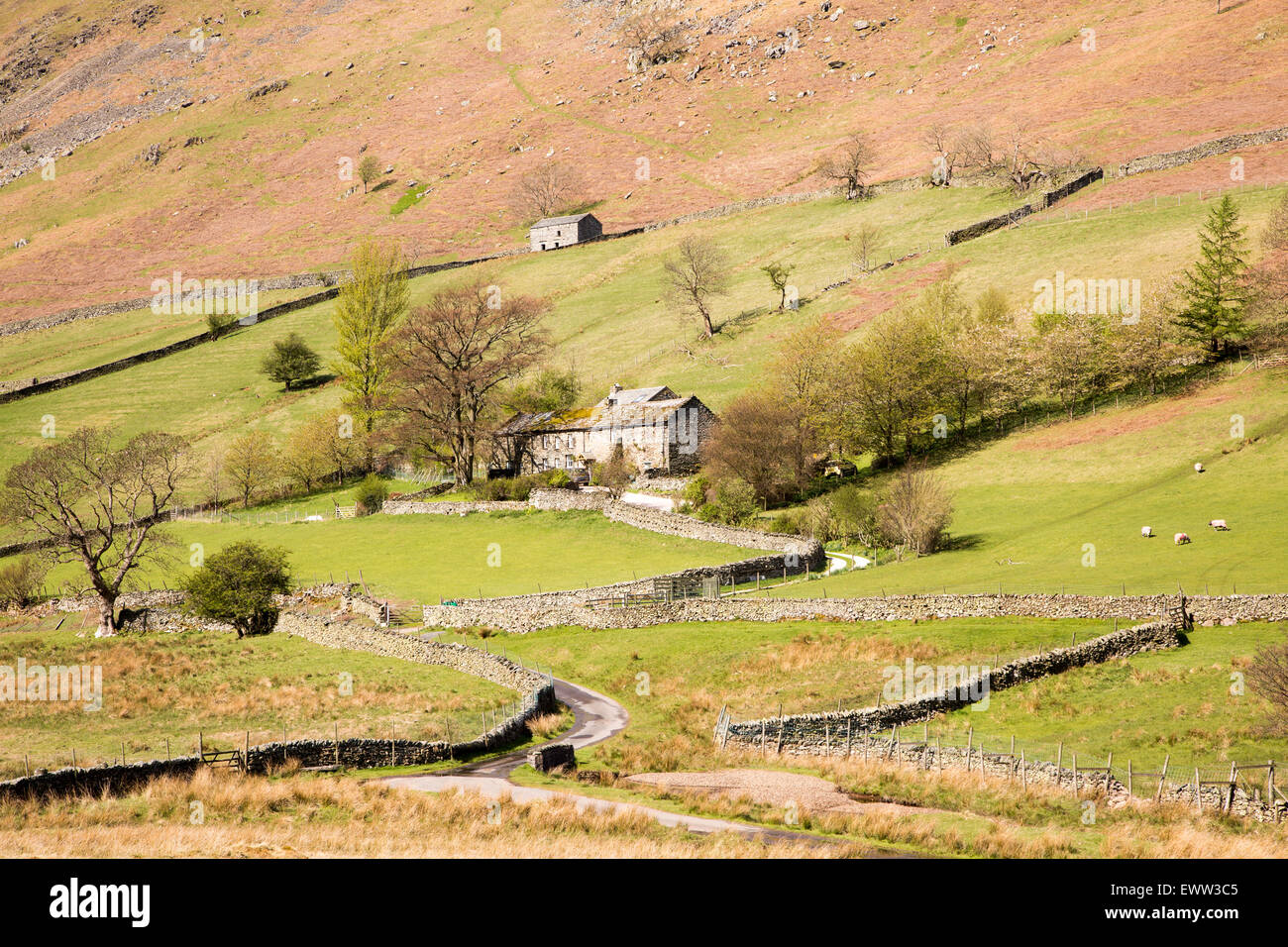 Boredale valley, Martindale, Lake District national park, Cumbria ...