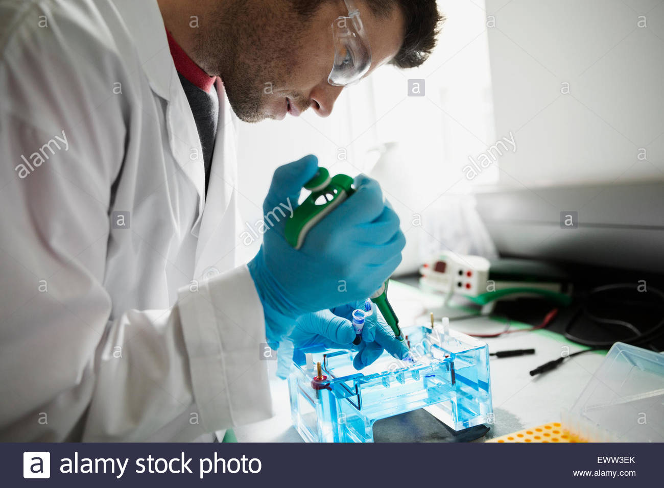 Scientist with pipette loading DNA gels in laboratory Stock Photo - Alamy