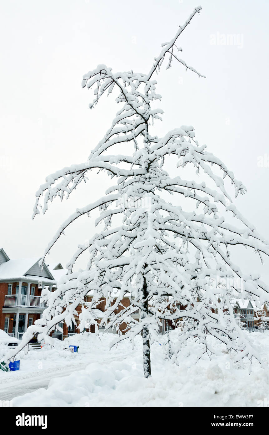 Snow winter in small Canadian town Stock Photo - Alamy