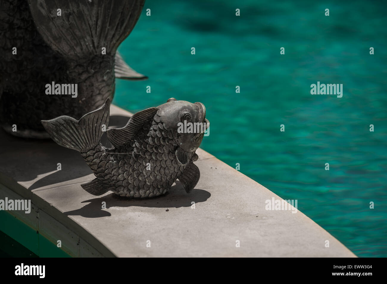 Spitting fish hi-res stock photography and images - Alamy