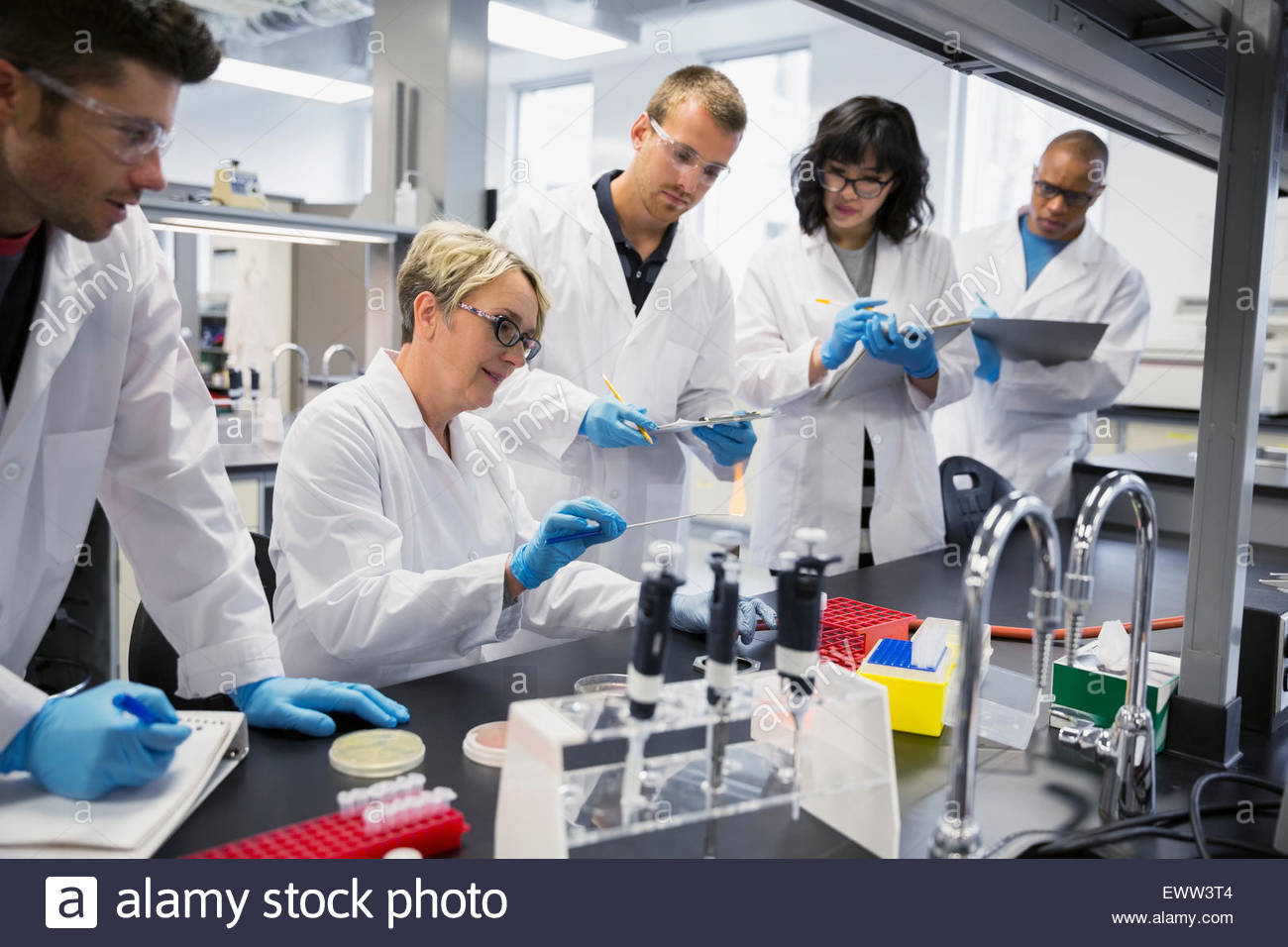 Scientific race improvement hi-res stock photography and images - Alamy
