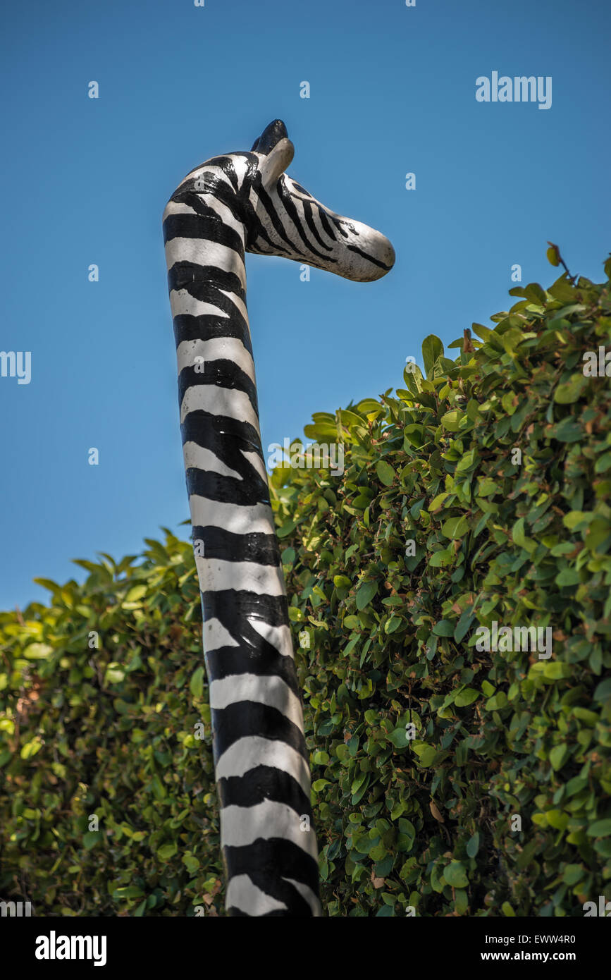 Yard art giraffe peeking over tall hedge Stock Photo - Alamy