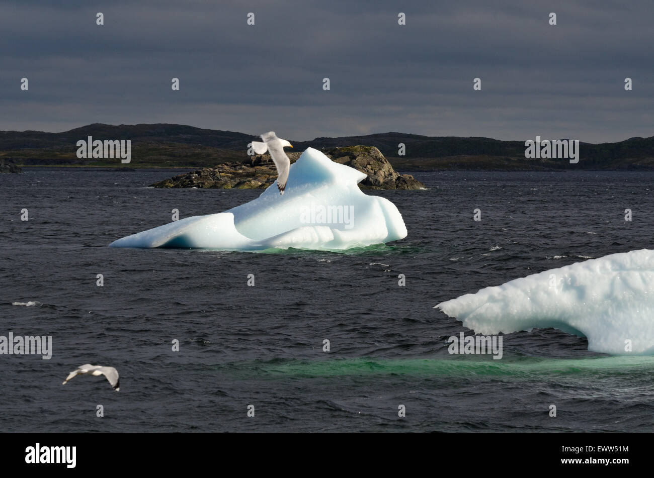 Bright white iceberg on dark water and rock background Stock Photo - Alamy