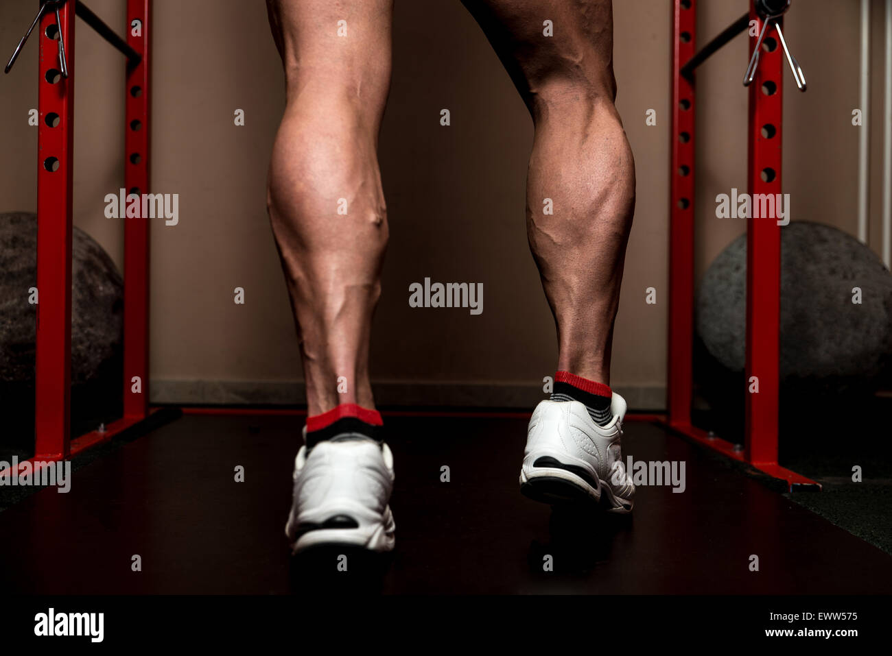 Thigh calf hi-res stock photography and images - Alamy