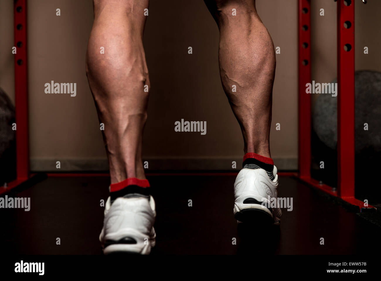 That's How You Train Legs Calves Stock Photo - Alamy