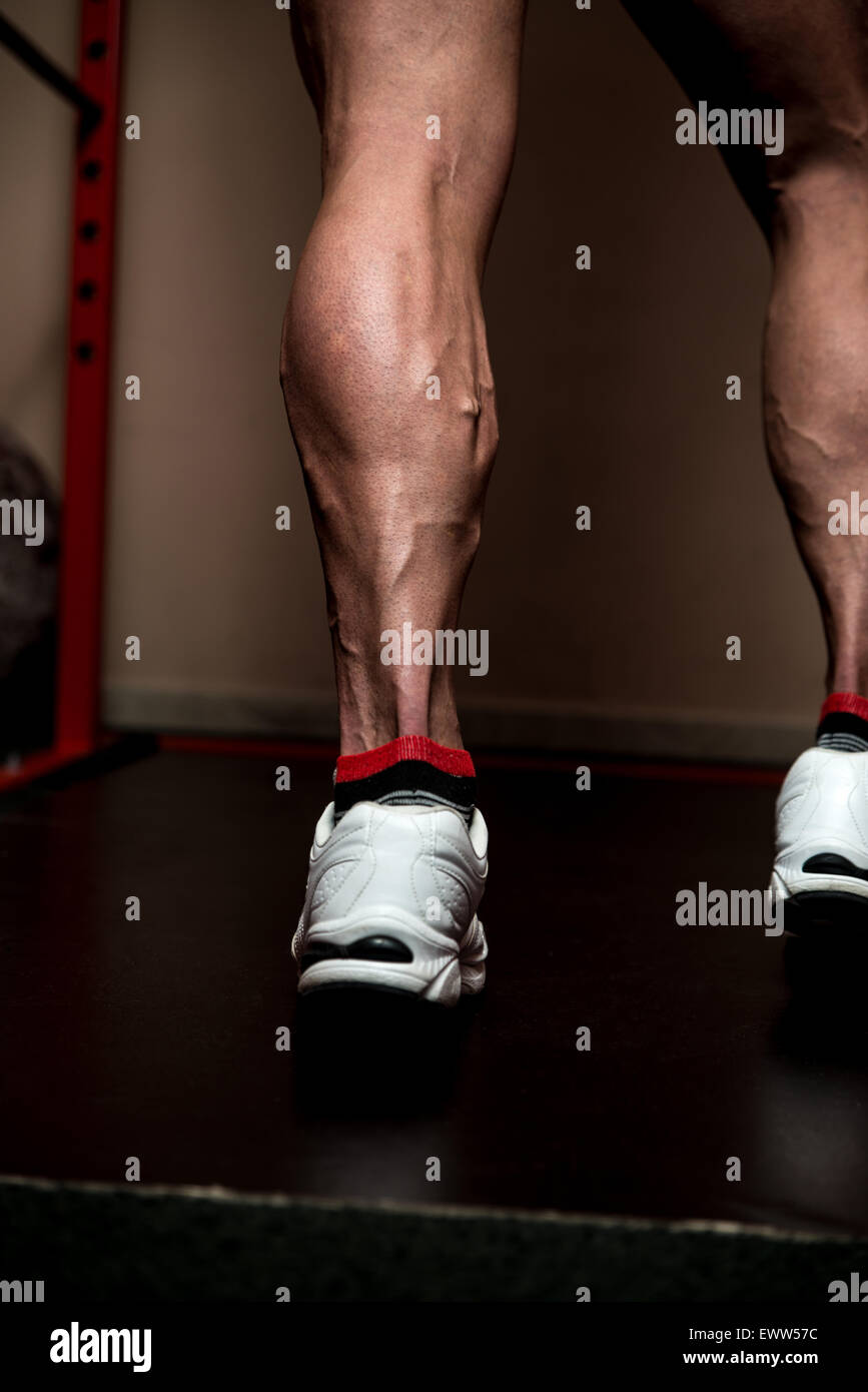 Thigh calf hi-res stock photography and images - Alamy