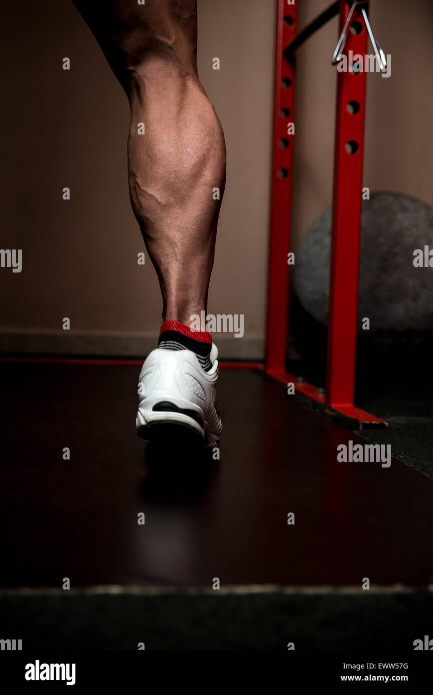 That's How You Train Legs Calves Stock Photo - Alamy