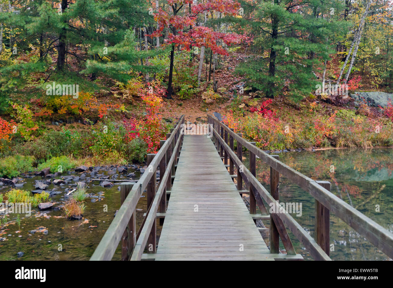 Wooden bridge above stream. Killarney Park, Canada Stock Photo - Alamy