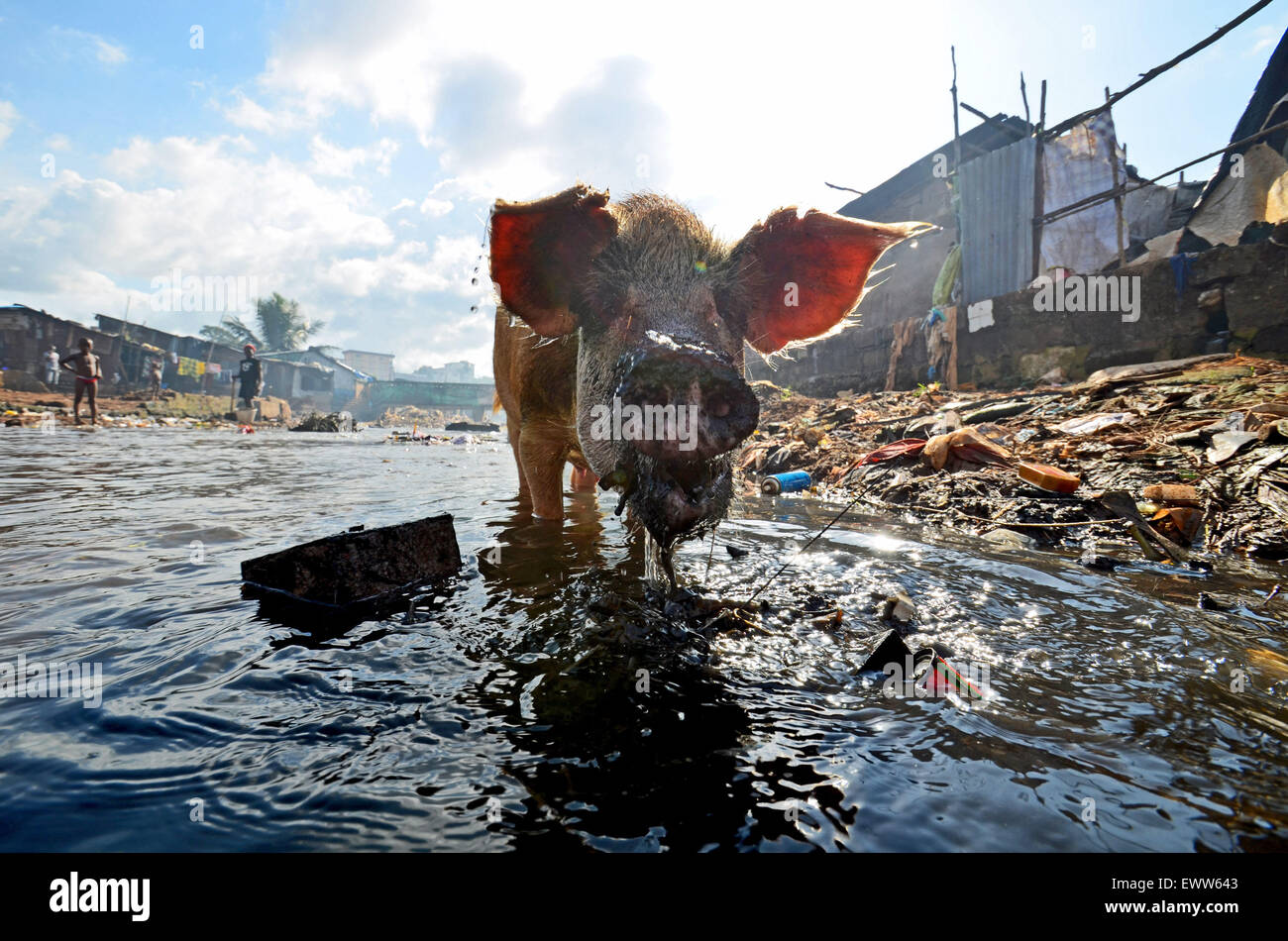 Slums freetown sierra leone hi-res stock photography and images - Alamy