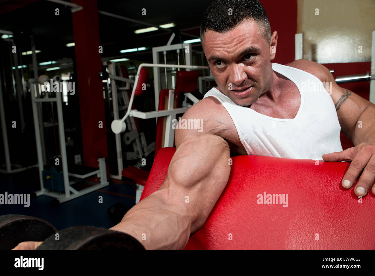 Muscular Man Exercising In Gym Stock Photo - Alamy