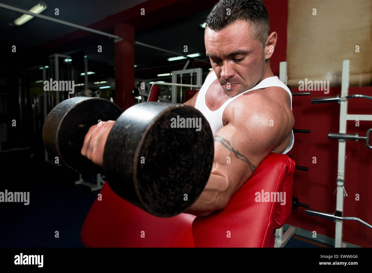 Man lifting weights hi-res stock photography and images - Alamy