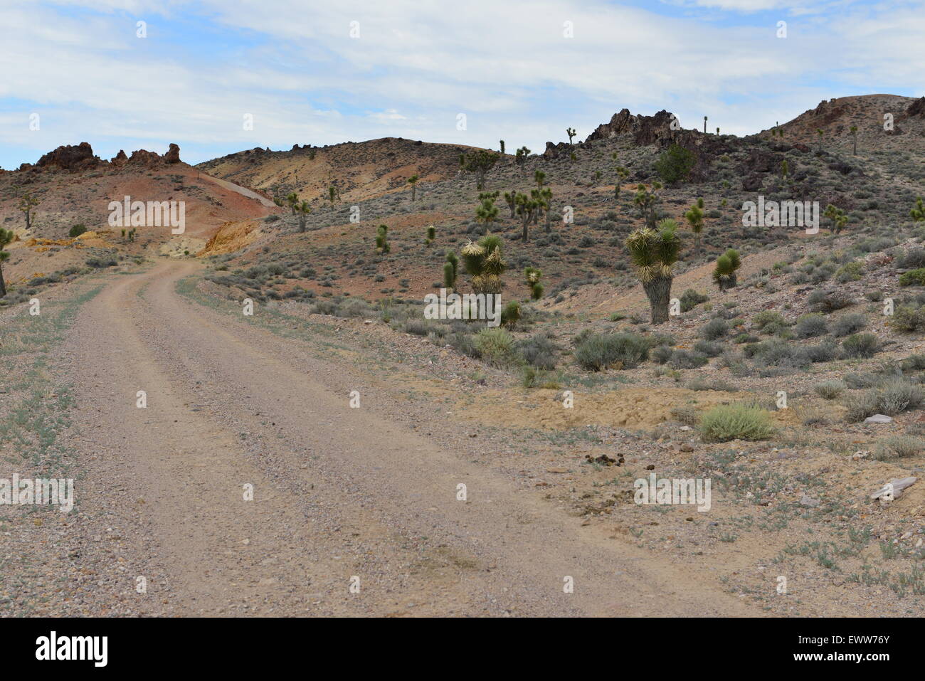 Goldfield the old Nevada gold mining town, where the gold finished in ...