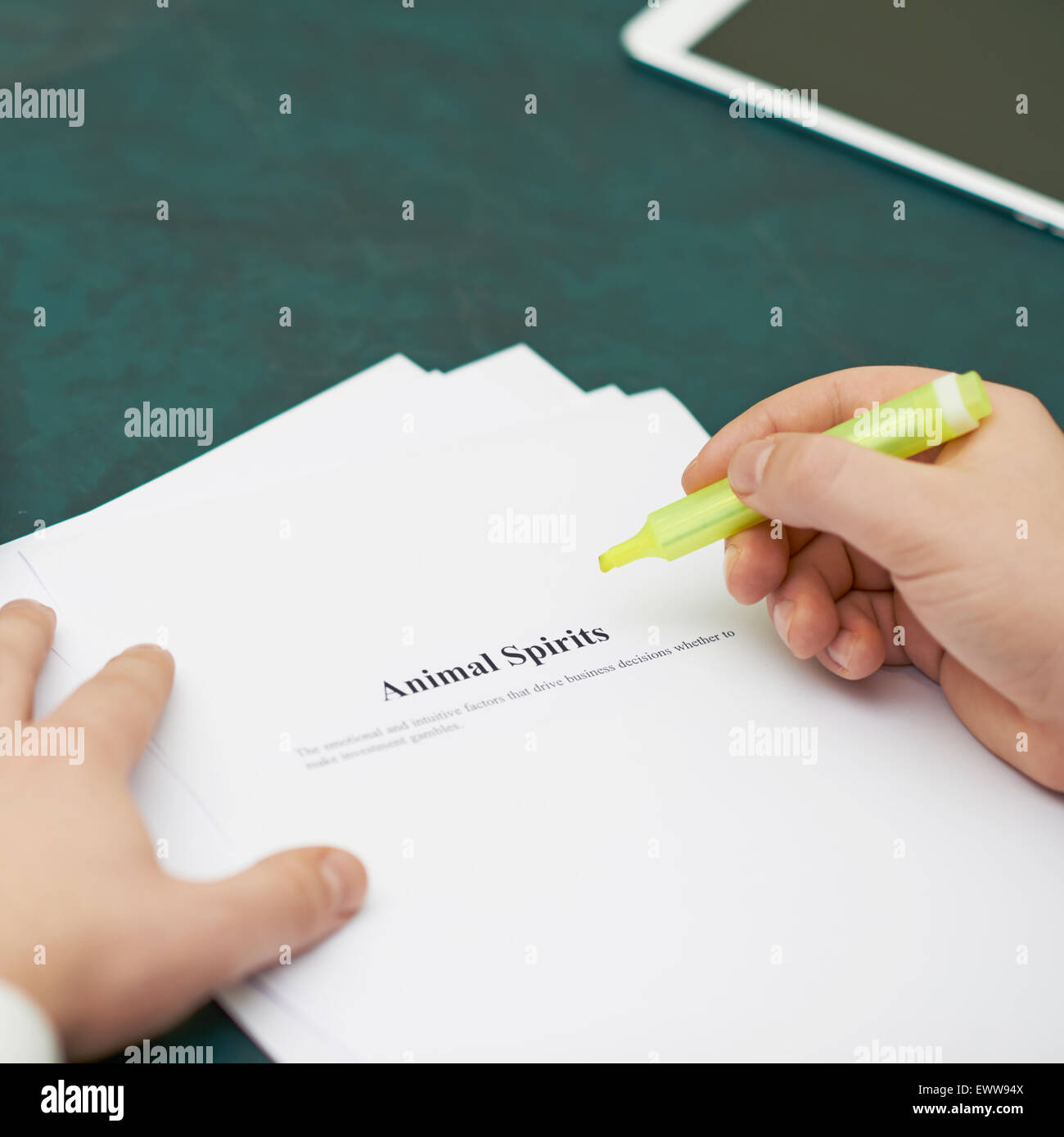 Marking words in an animal spirits definition Stock Photo - Alamy