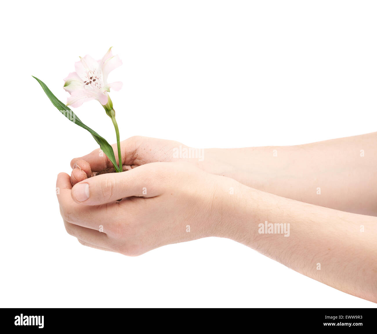 Fragile ground protection hi-res stock photography and images - Alamy