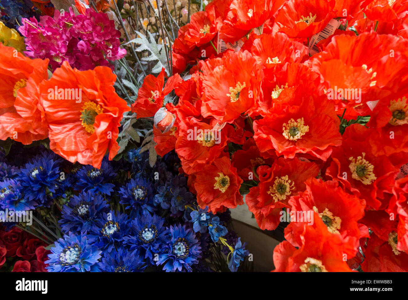 Riviera of flowers hi-res stock photography and images - Alamy