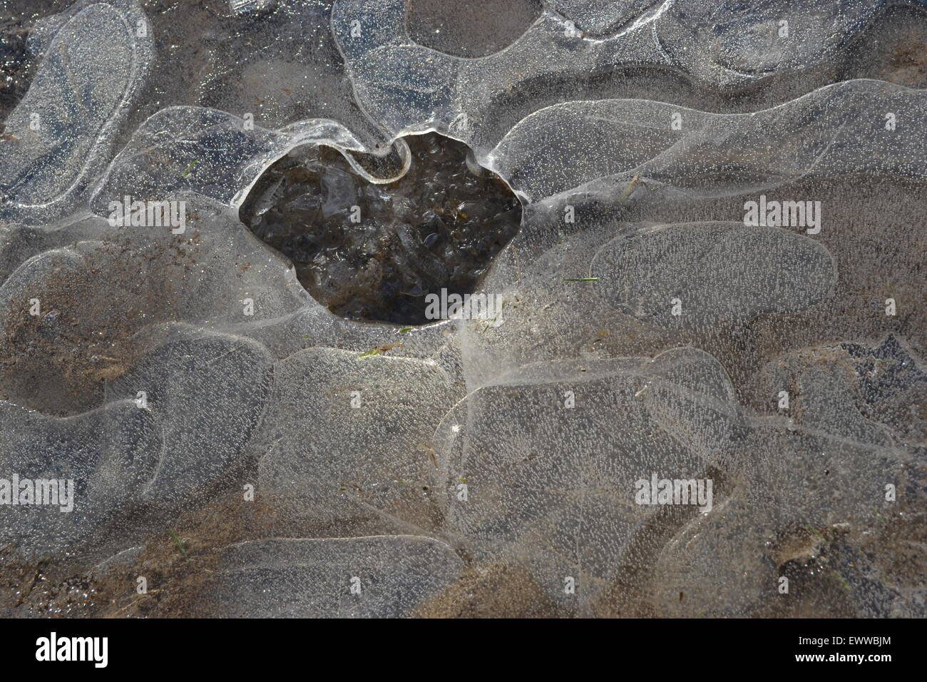Ice starting to melt hi-res stock photography and images - Alamy