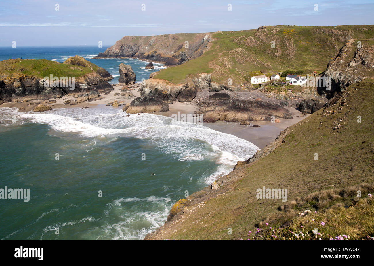 Coastal scenery near Kynance Cove, Lizard Peninsula, Cornwall, England ...