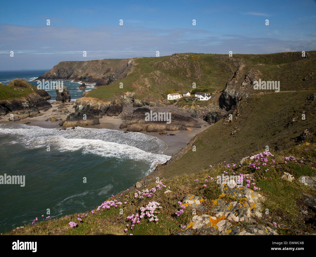 Coastal scenery near Kynance Cove, Lizard Peninsula, Cornwall, England ...
