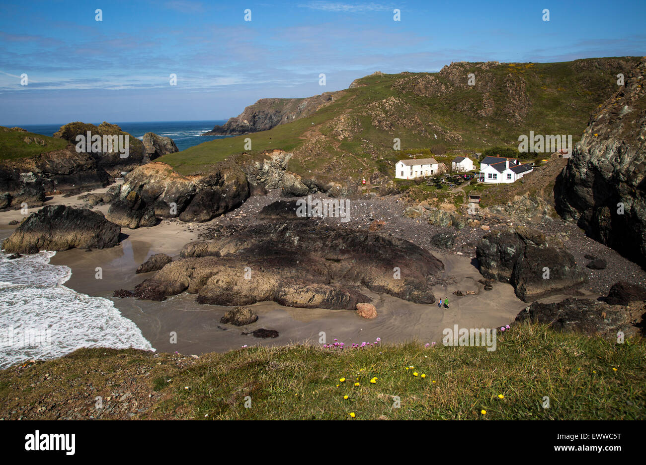 Coastal scenery near Kynance Cove, Lizard Peninsula, Cornwall, England ...