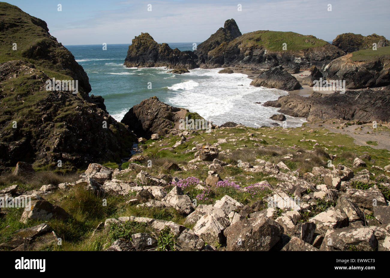 Coastal scenery near Kynance Cove, Lizard Peninsula, Cornwall, England ...