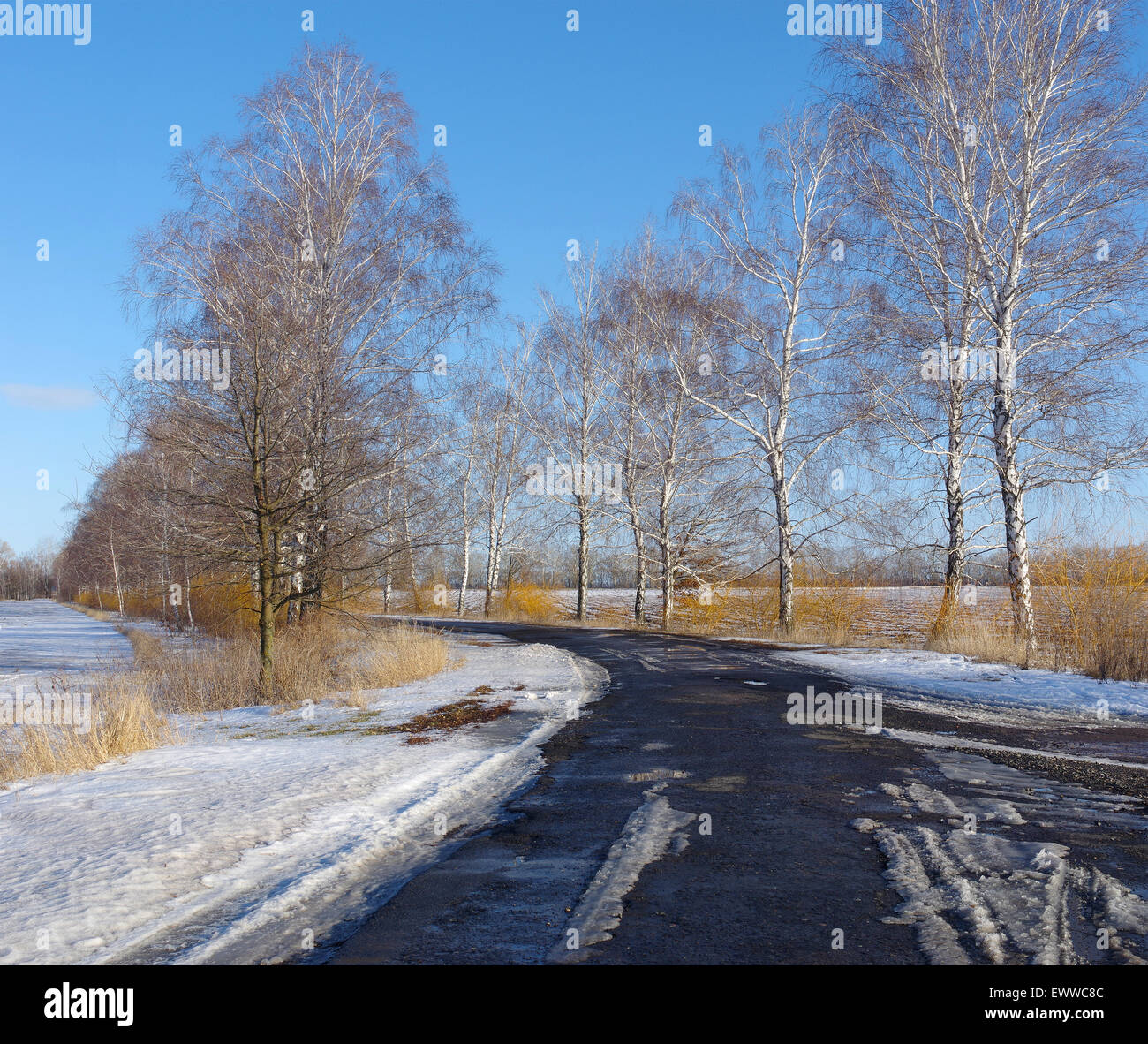 Early spring landscape with country road Stock Photo - Alamy