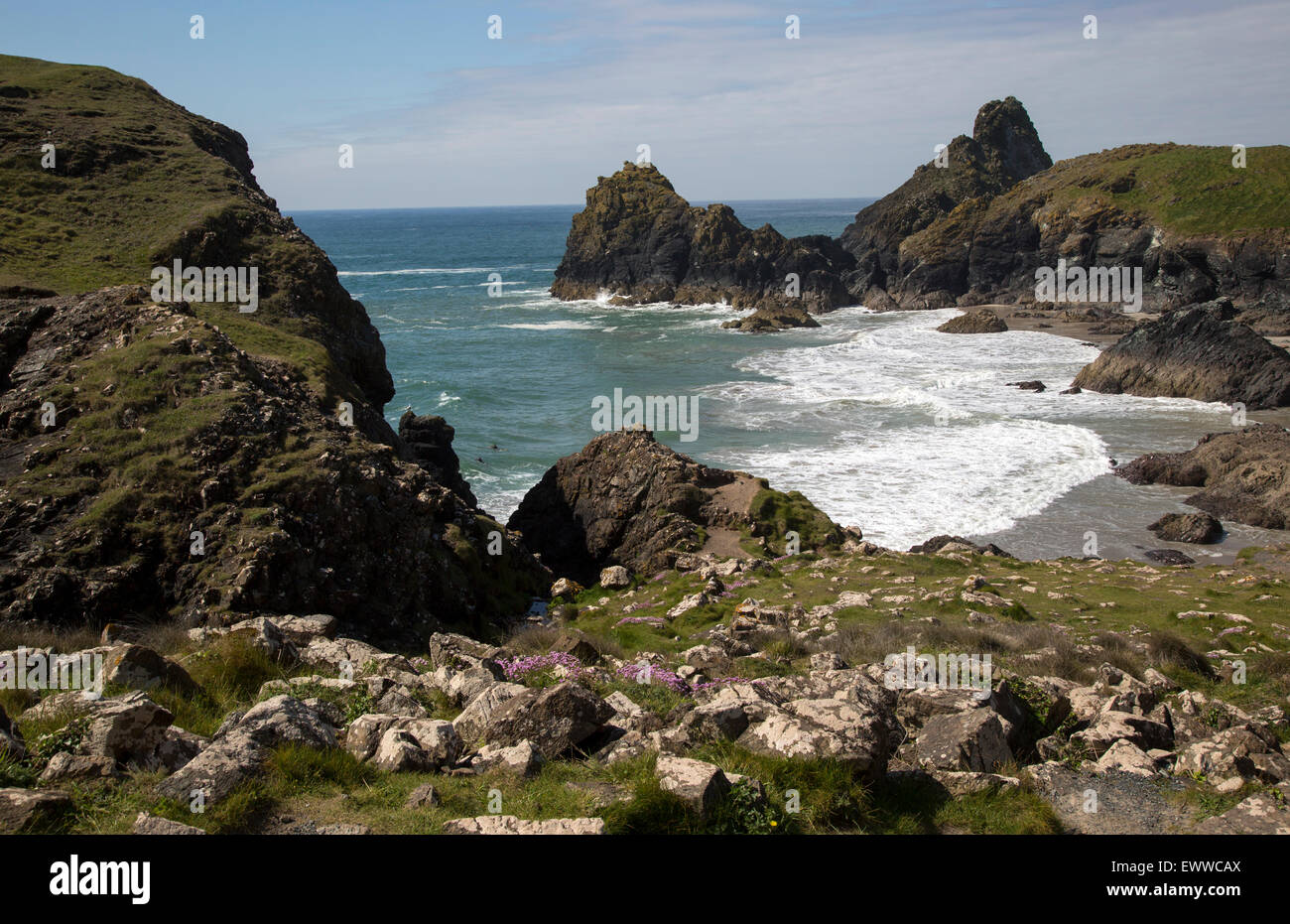 Coastal scenery near Kynance Cove, Lizard Peninsula, Cornwall, England ...