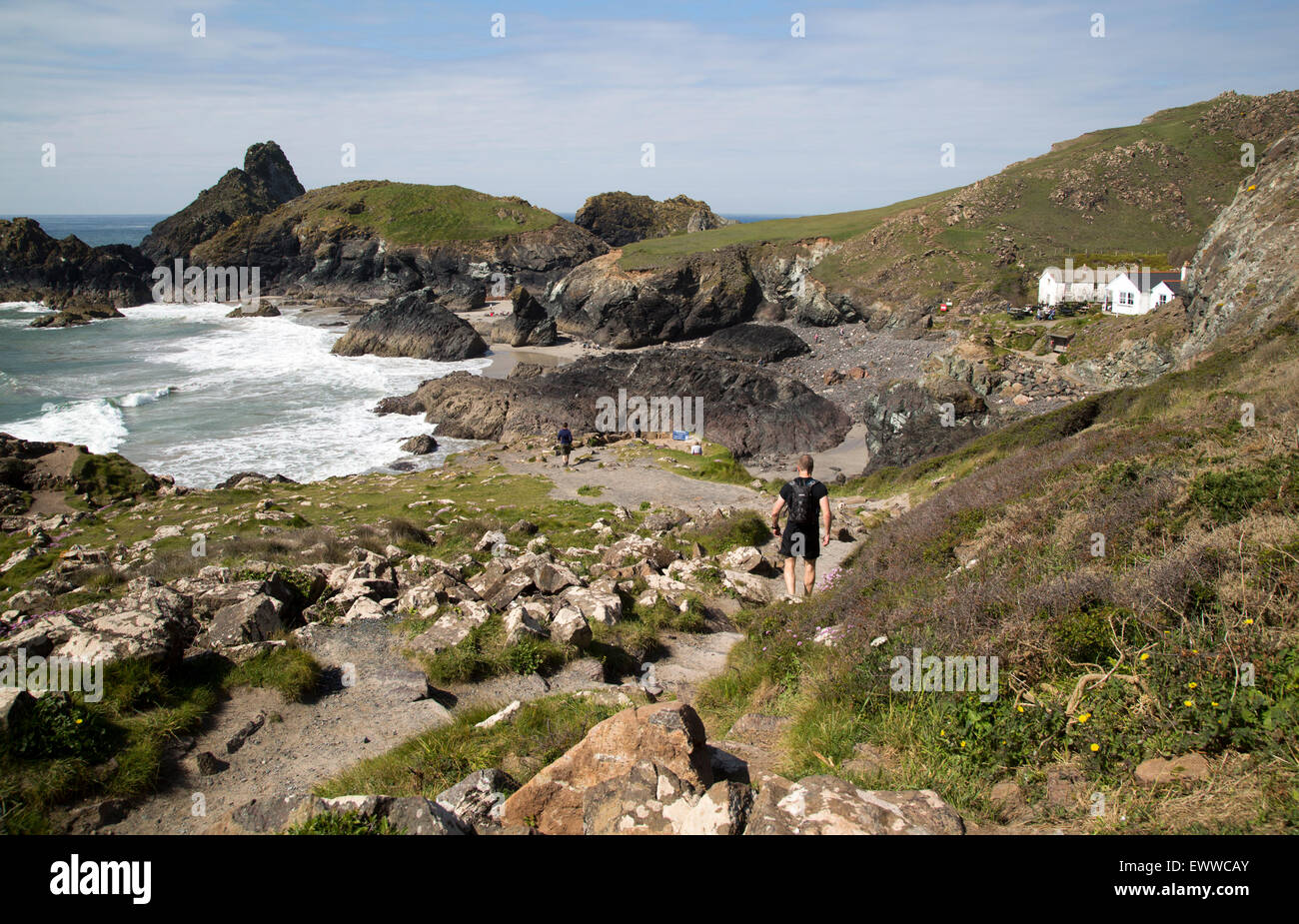 Coastal scenery near Kynance Cove, Lizard Peninsula, Cornwall, England ...