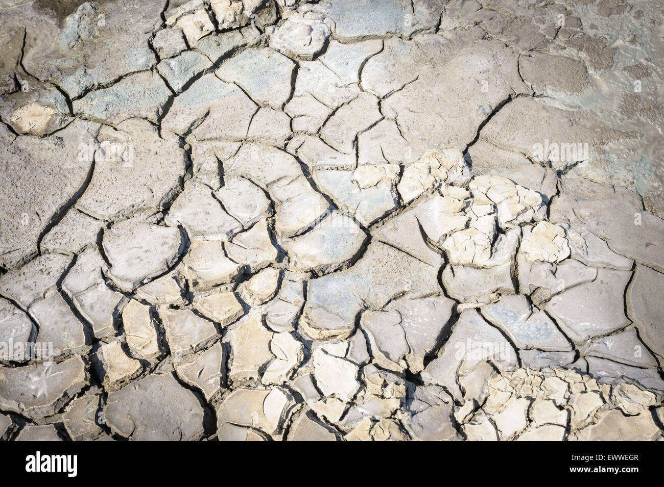 Surface of a barren ground textured background in dry weathe Stock ...
