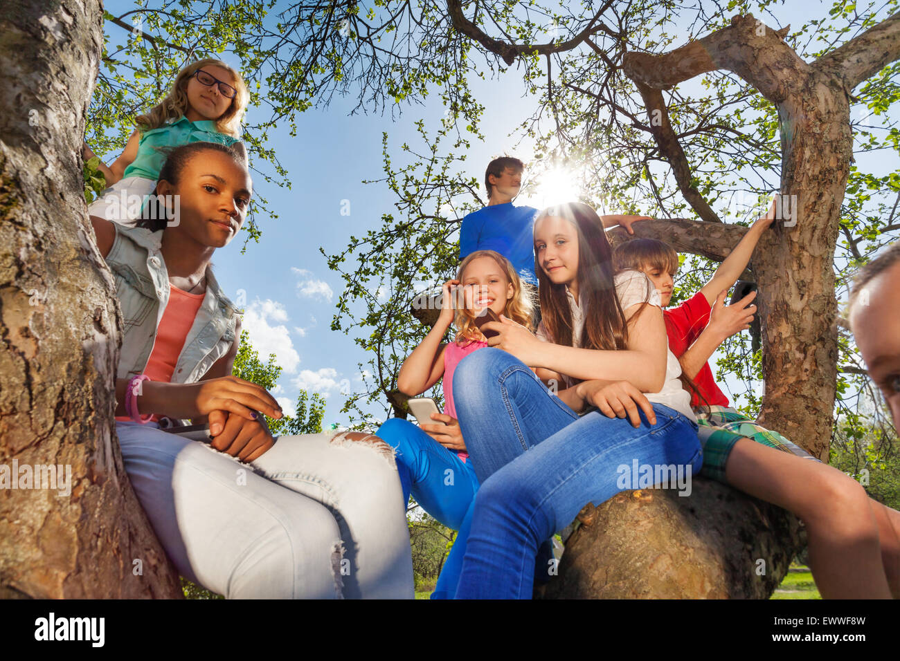 Boy look up at tree hi-res stock photography and images - Alamy