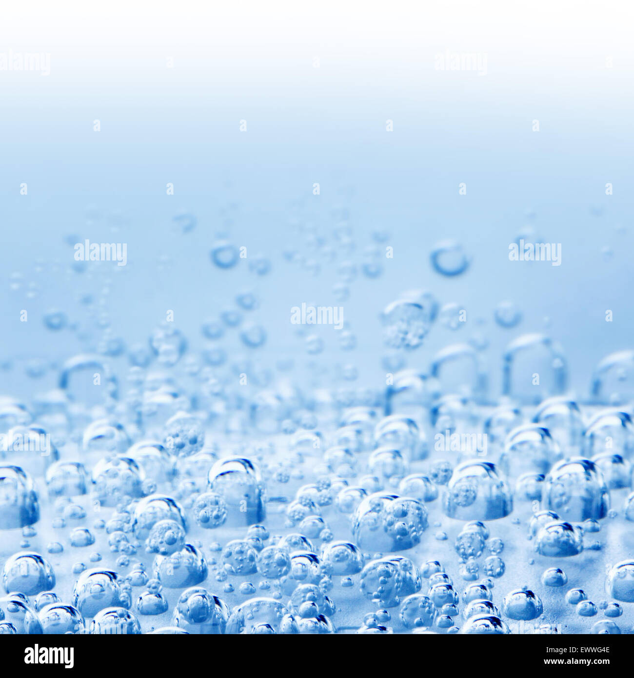 Macro bubbles of water on blue background Stock Photo - Alamy