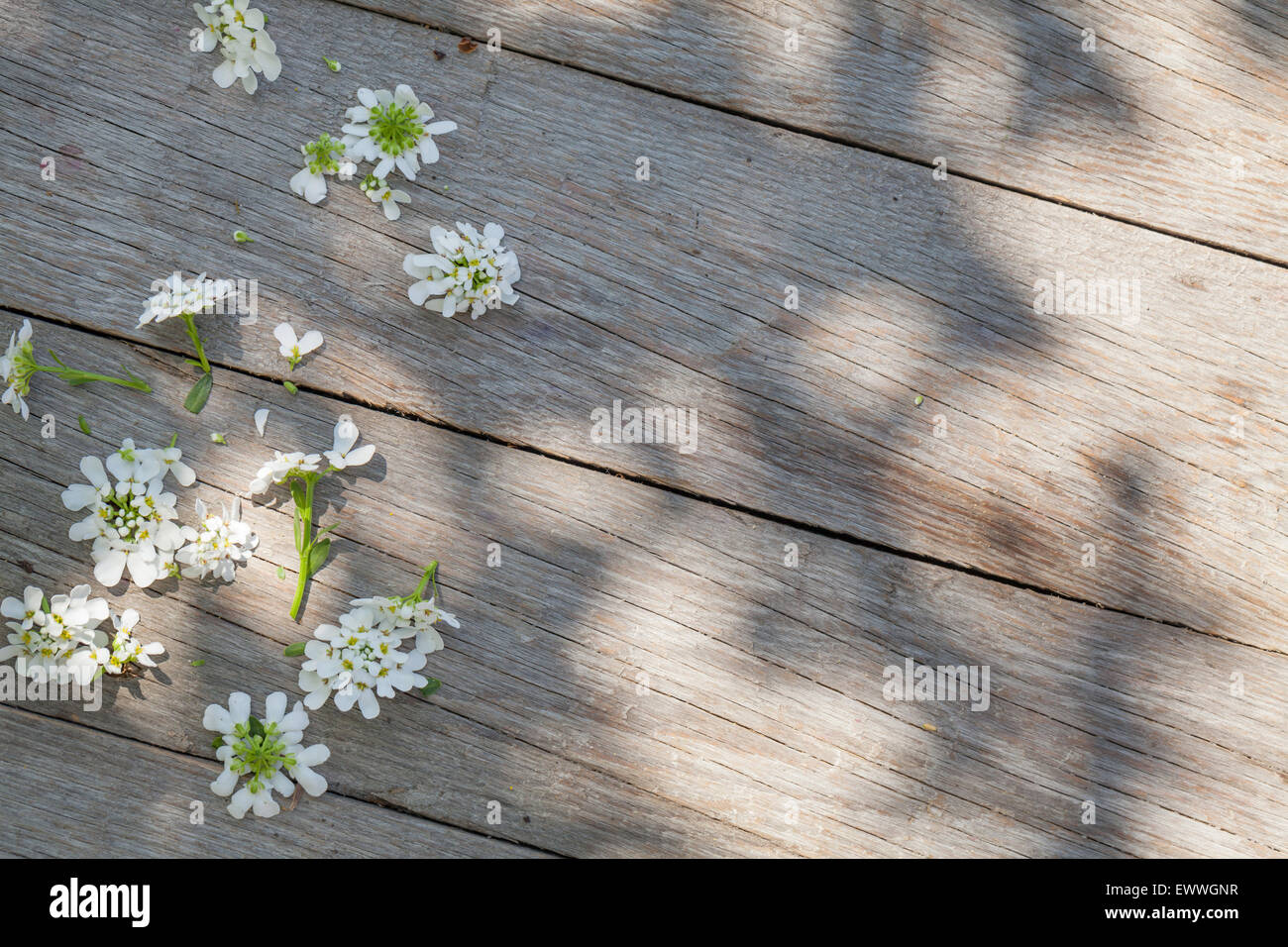Wooden garden table on sunny day Stock Photo - Alamy