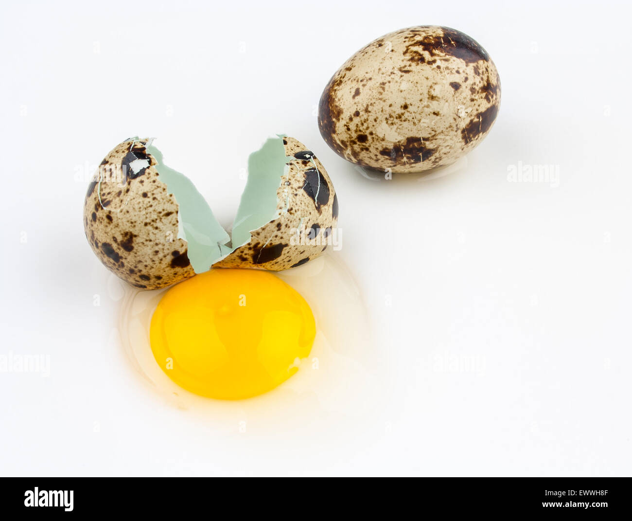 Two broken quail eggs on white background, top view Stock Photo - Alamy