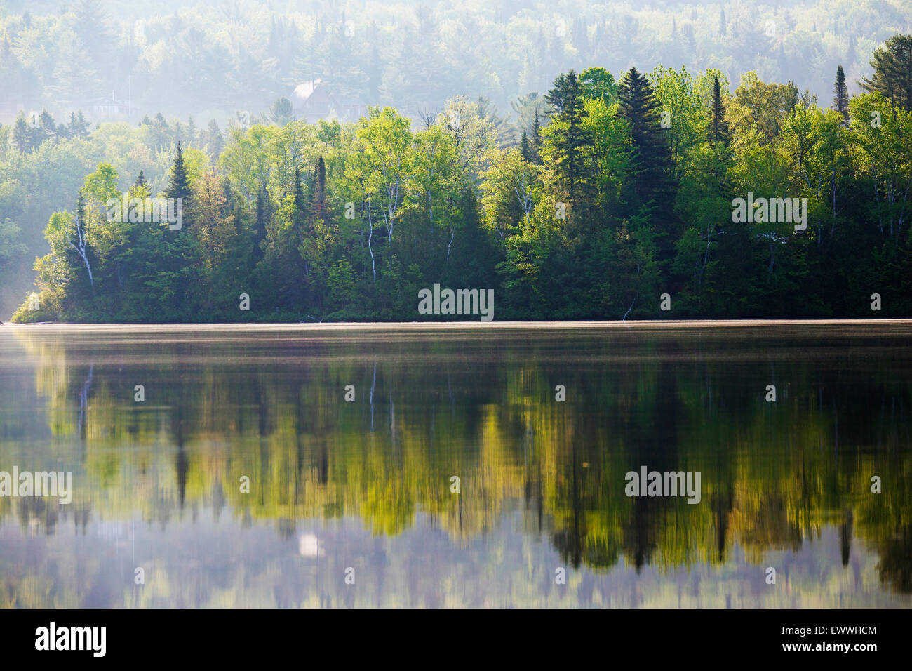 Spring Morning in Laurentides Quebec-Canada Stock Photo - Alamy