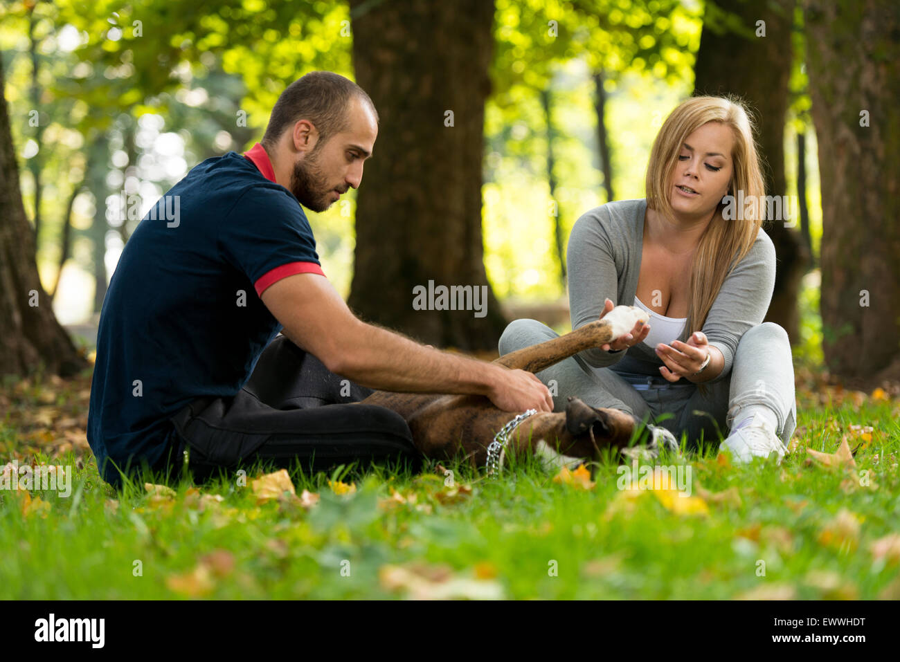 Boxer couple hi-res stock photography and images - Alamy